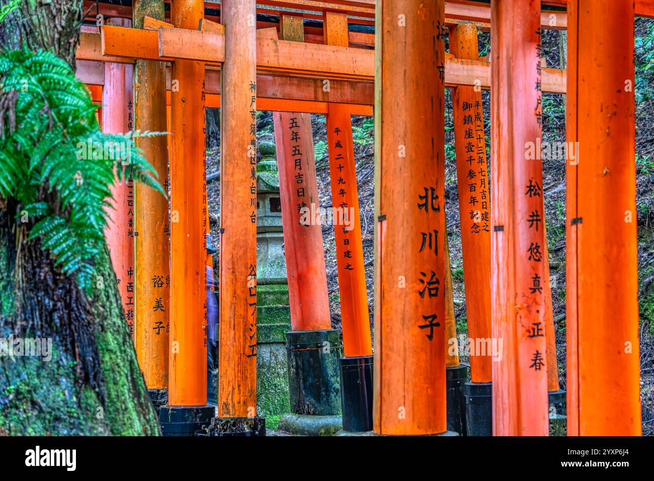 The torii gate covered walking path at Fushimi Inari Taisha temple in ...