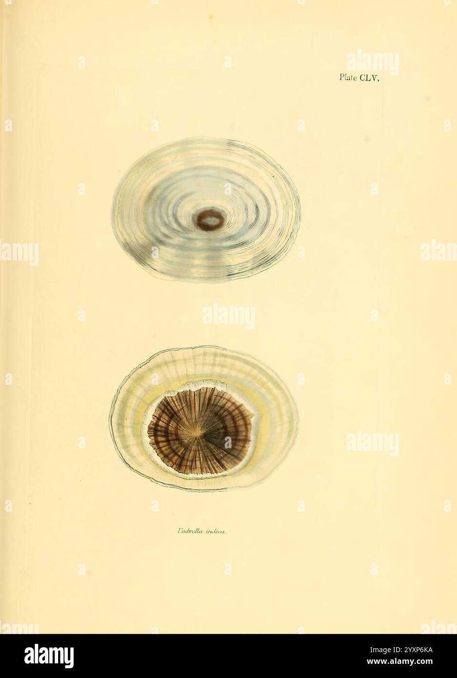 Wider aperture hi-res stock photography and images - Alamy