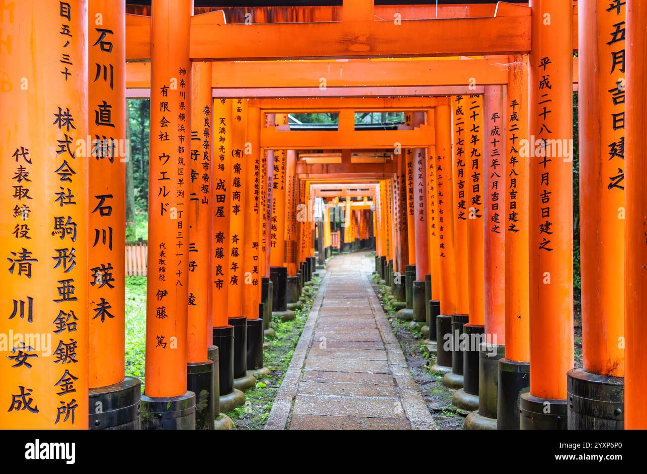 The torii gate covered walking path at Fushimi Inari Taisha temple in ...