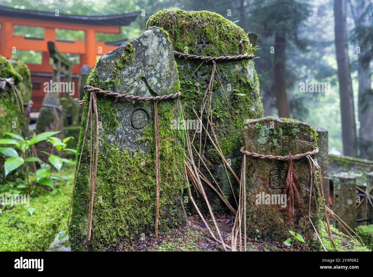 Sacred stones wrapped with rope (Yorishiro) at Fushimi Inari Taisha ...