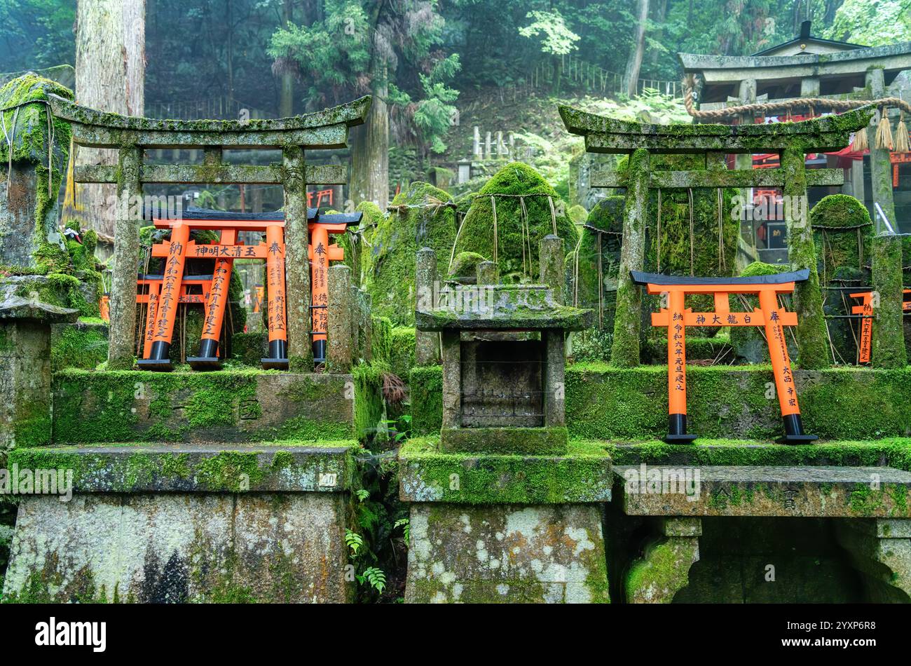 Small shinto place of worship with Torii Gates and inscriptioned stones ...