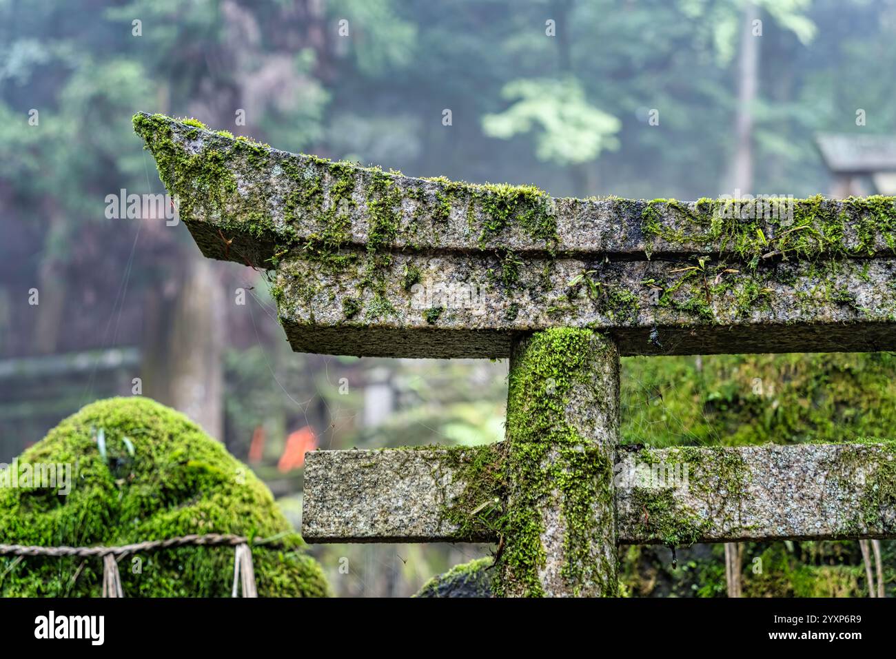 Sacred stones wrapped with rope (Yorishiro) and a torii gate at Fushimi ...