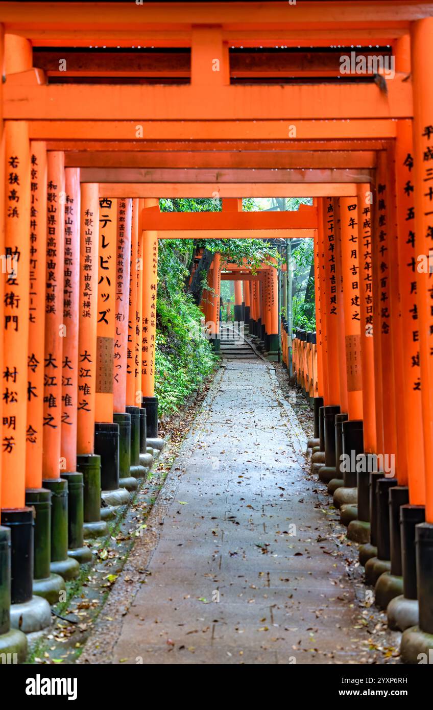 The torii gate covered walking path at Fushimi Inari Taisha temple in ...