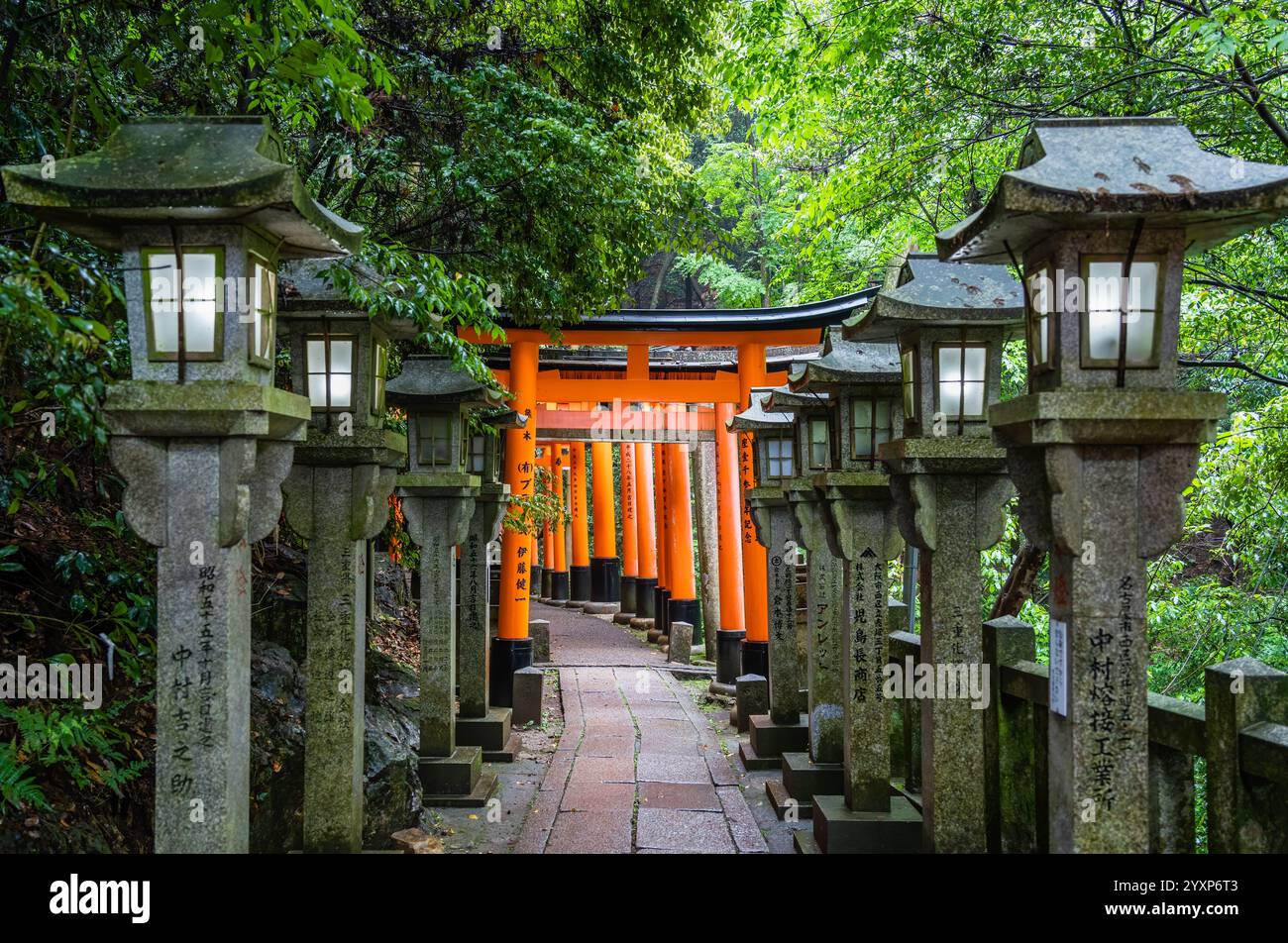 The torii gate covered walking path at Fushimi Inari Taisha temple in ...