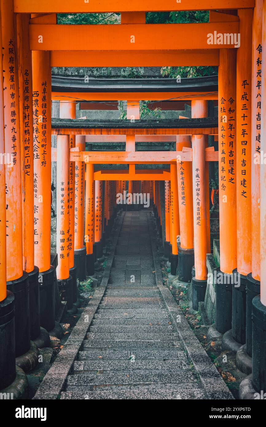 The torii gate covered walking path at Fushimi Inari Taisha temple in ...