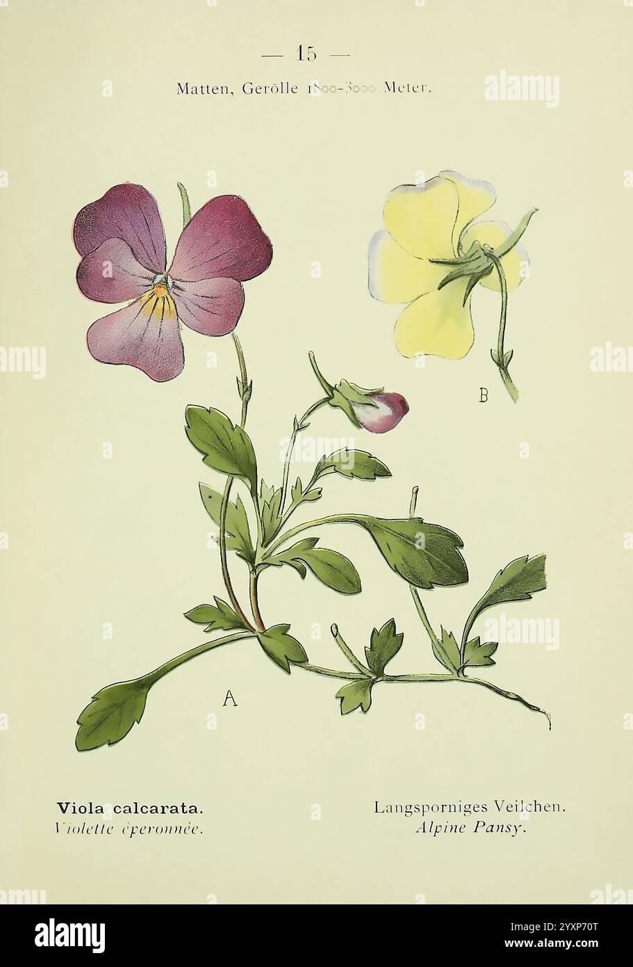 Left exhibits lines hi-res stock photography and images - Alamy