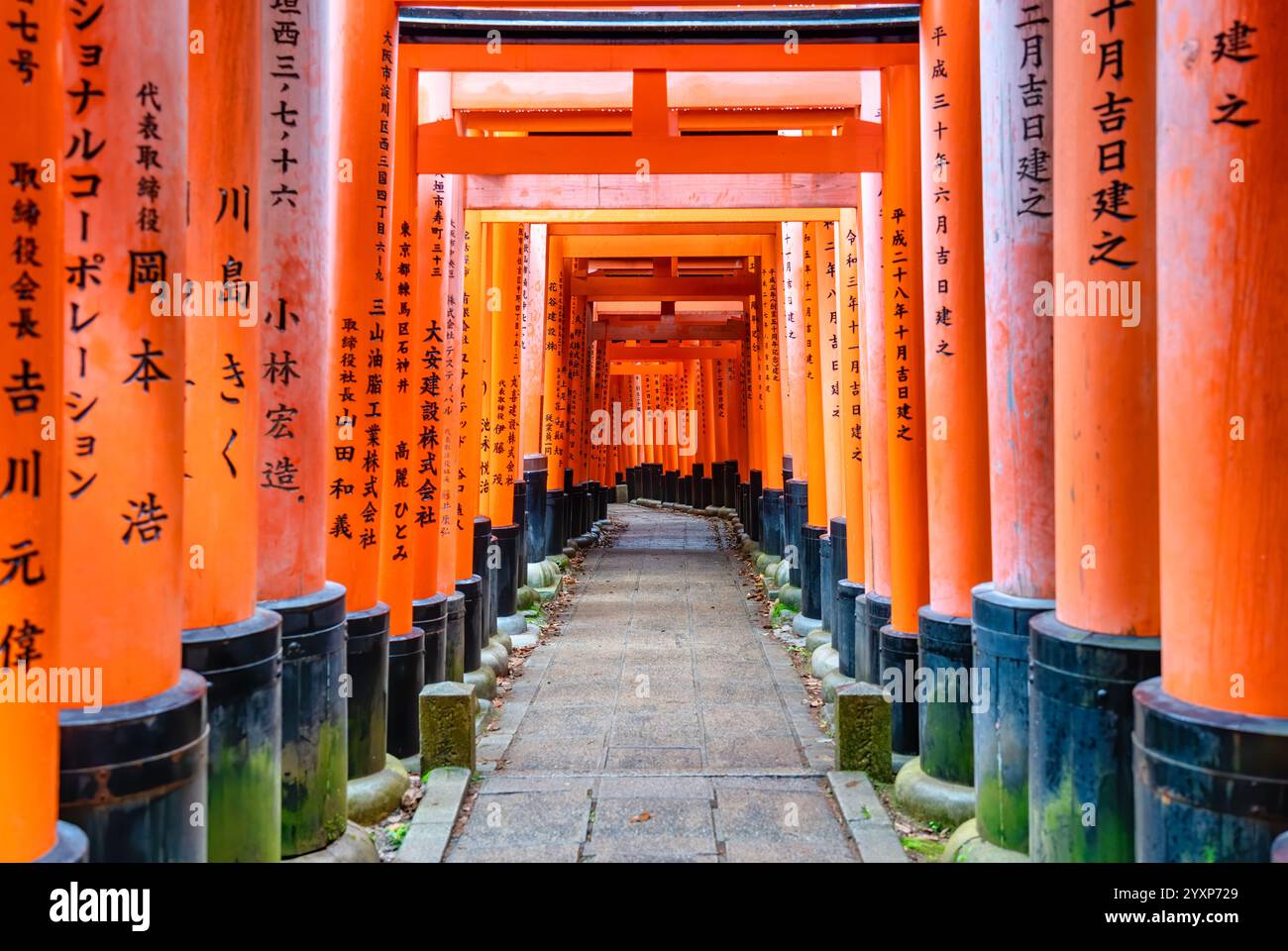 The torii gate covered walking path at Fushimi Inari Taisha temple in ...