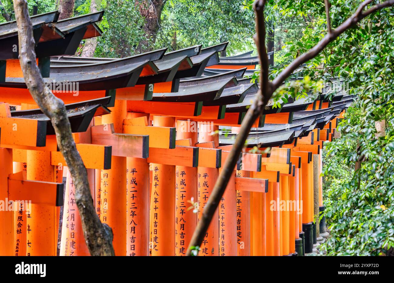 The torii gate covered walking path at Fushimi Inari Taisha temple in ...