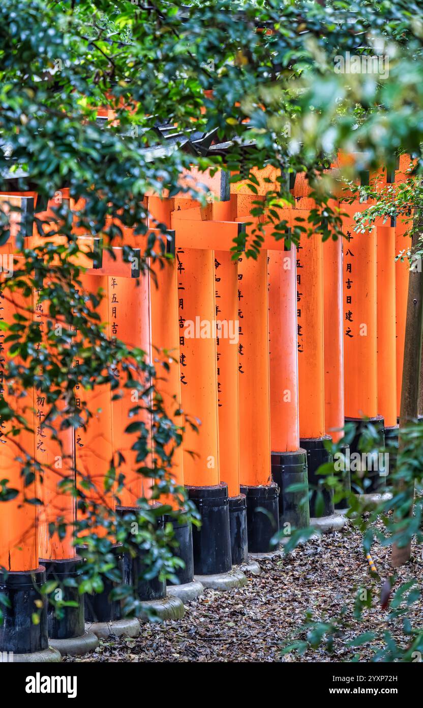 The torii gate covered walking path at Fushimi Inari Taisha temple in ...