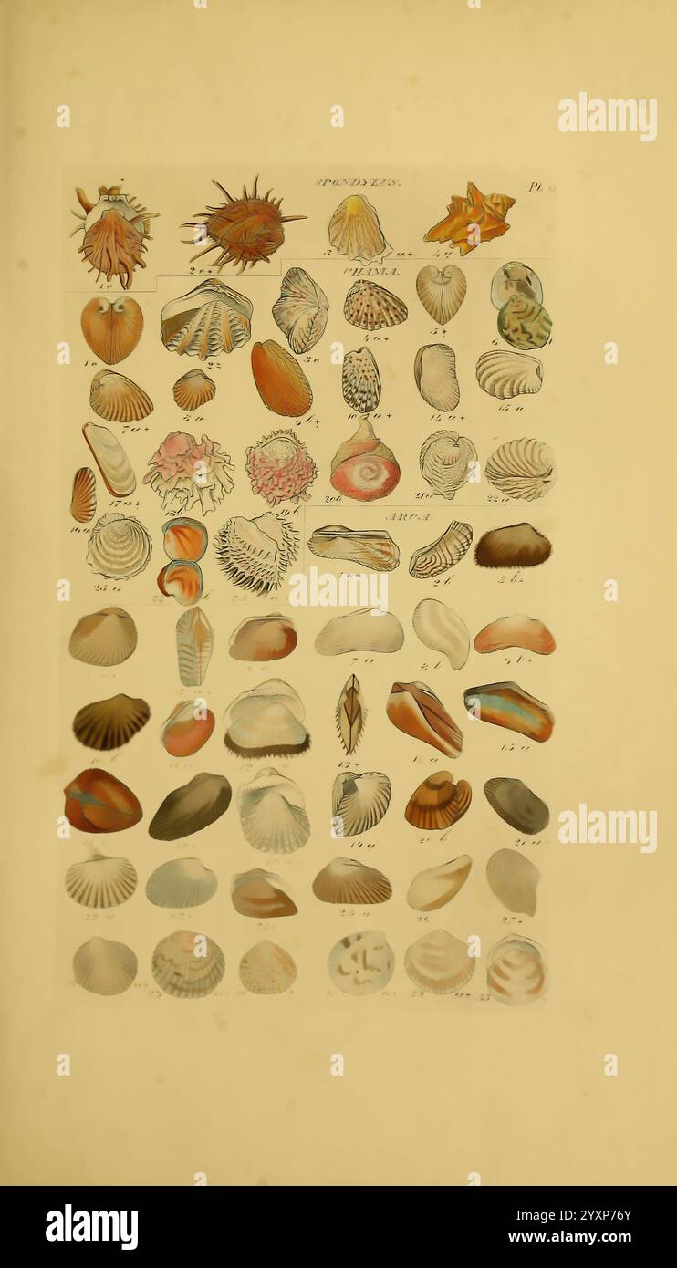 Diverse habitats across hi-res stock photography and images - Alamy