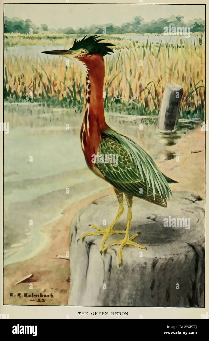 Funk wagnalls hi-res stock photography and images - Alamy