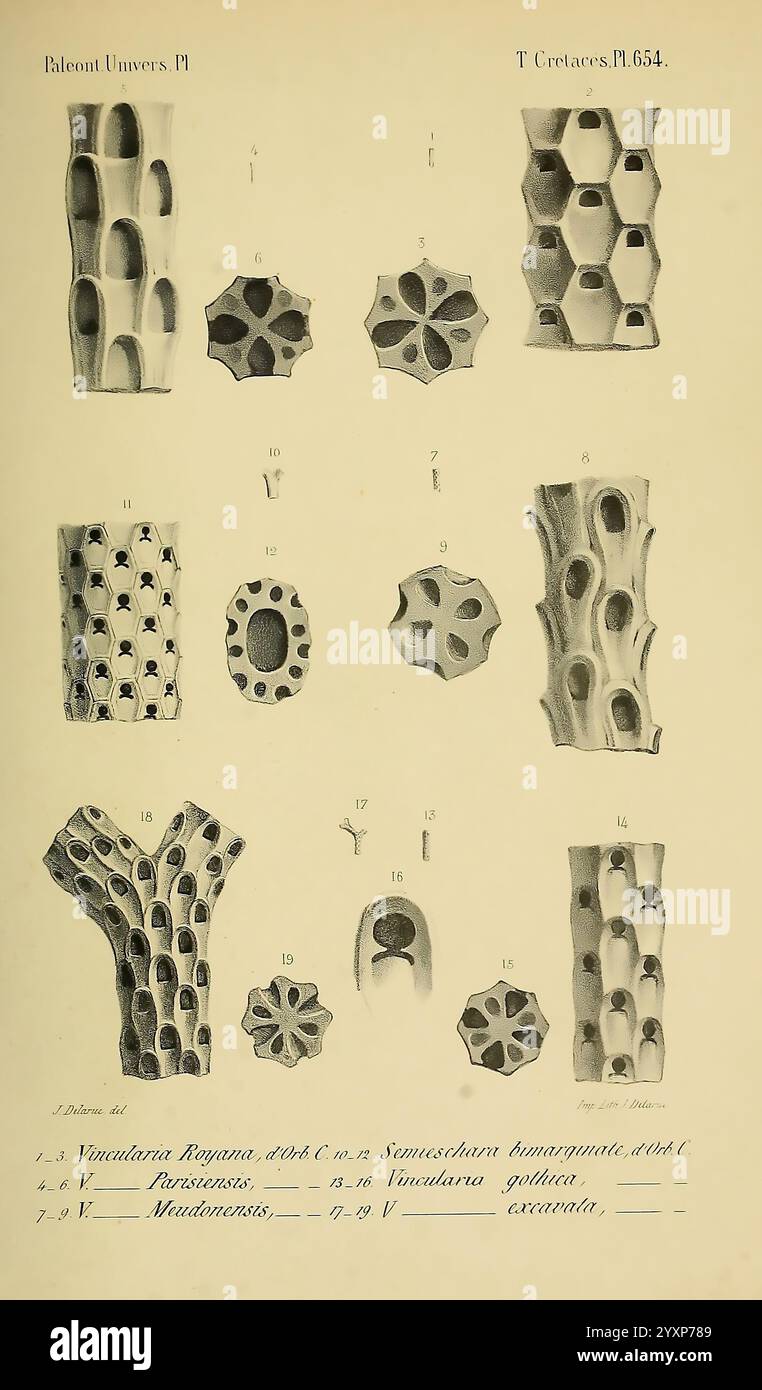 Tubular forms hi-res stock photography and images - Alamy