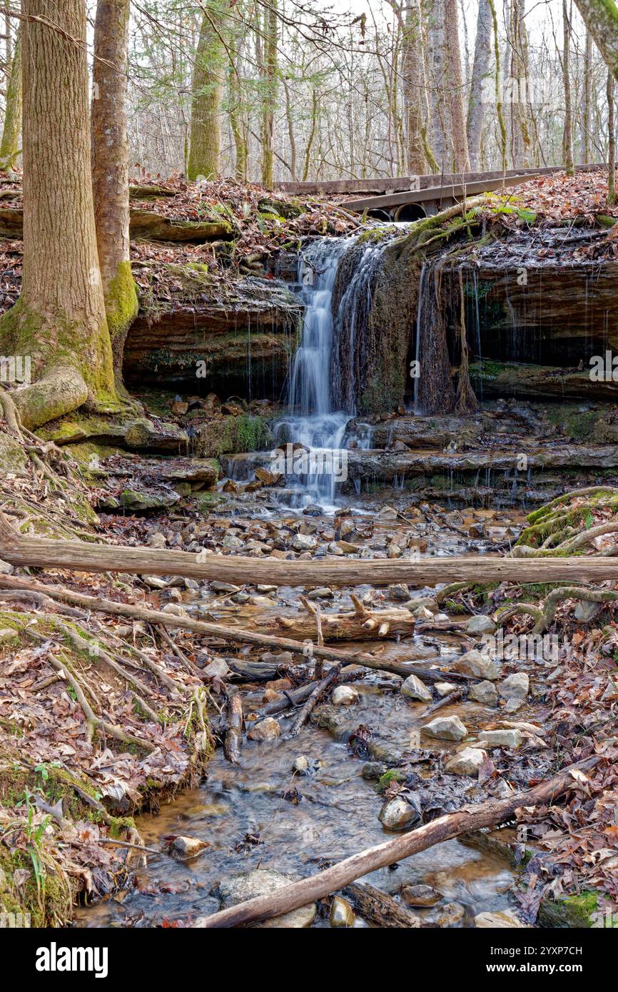 Fallen logs over hiking trail hi-res stock photography and images - Alamy