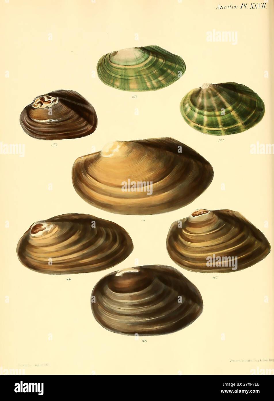 Artistic representation effectively captures hi-res stock photography ...