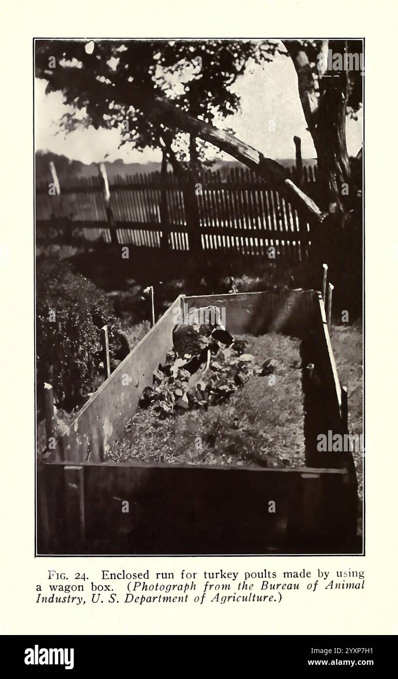 Enclosed run designed hi-res stock photography and images - Alamy