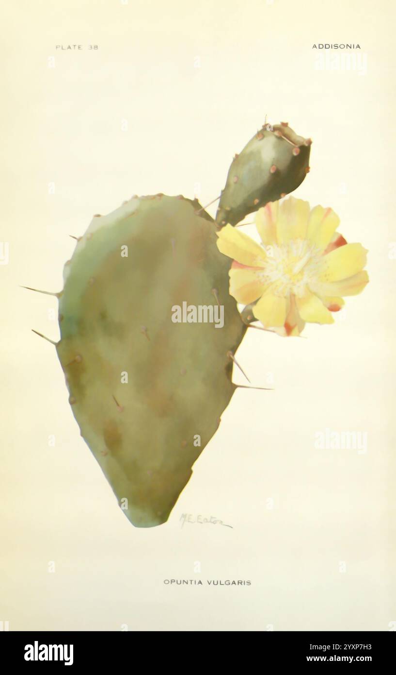 Emily addison hi-res stock photography and images - Alamy