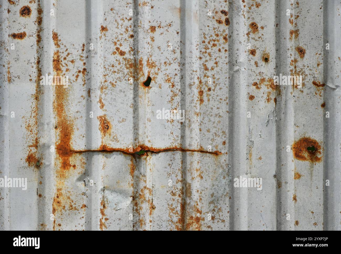 Close up view of a rusty corrugated metal sheet exhibiting extensive ...