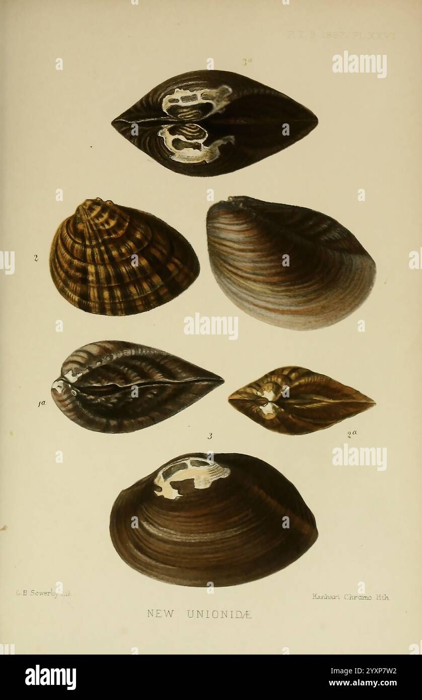 Collection represents hi-res stock photography and images - Alamy