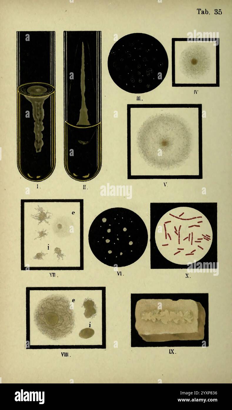 Diverse circular forms hi-res stock photography and images - Alamy