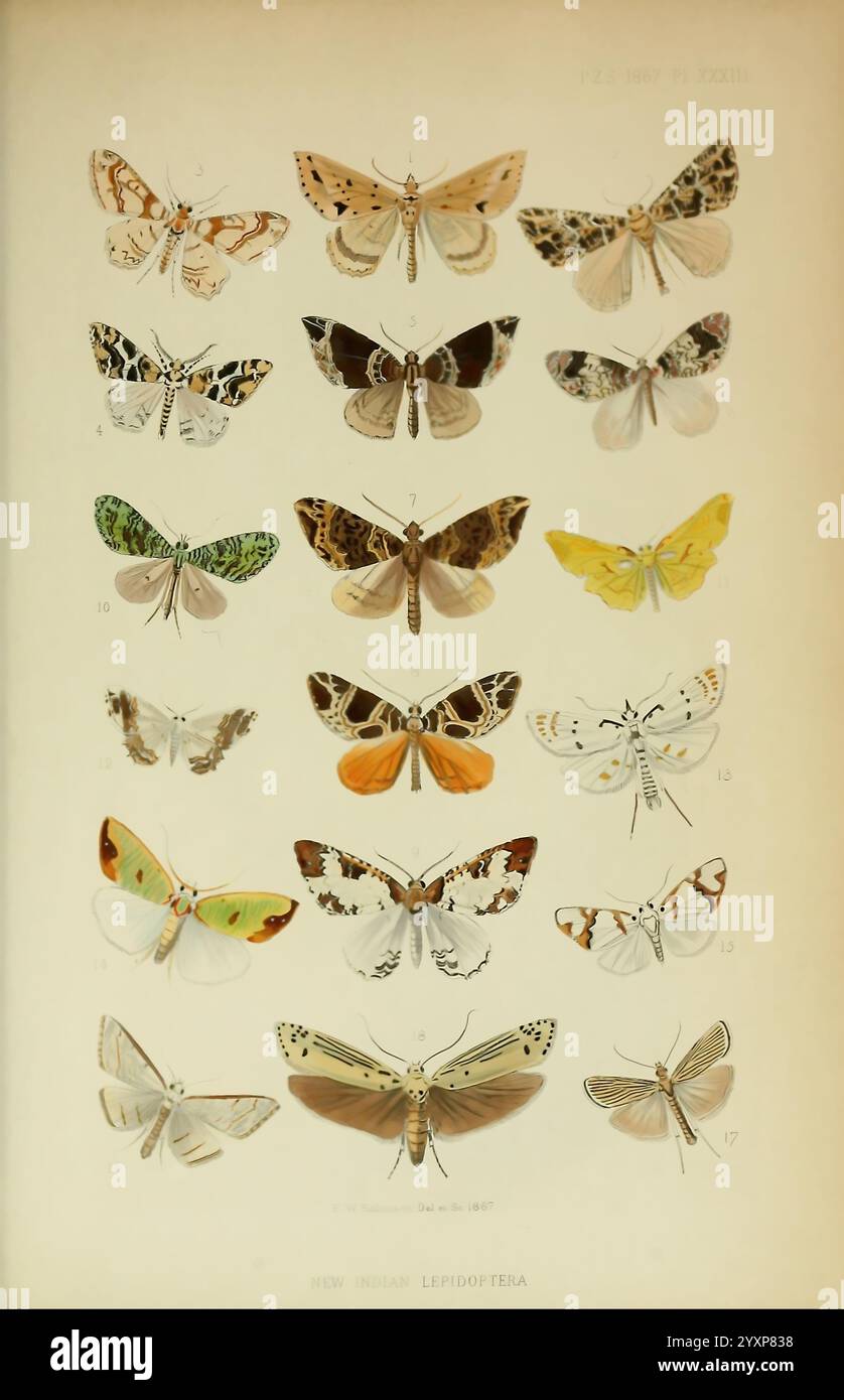 Proceedings of the Zoological Society of London, London, Academic Press ...
