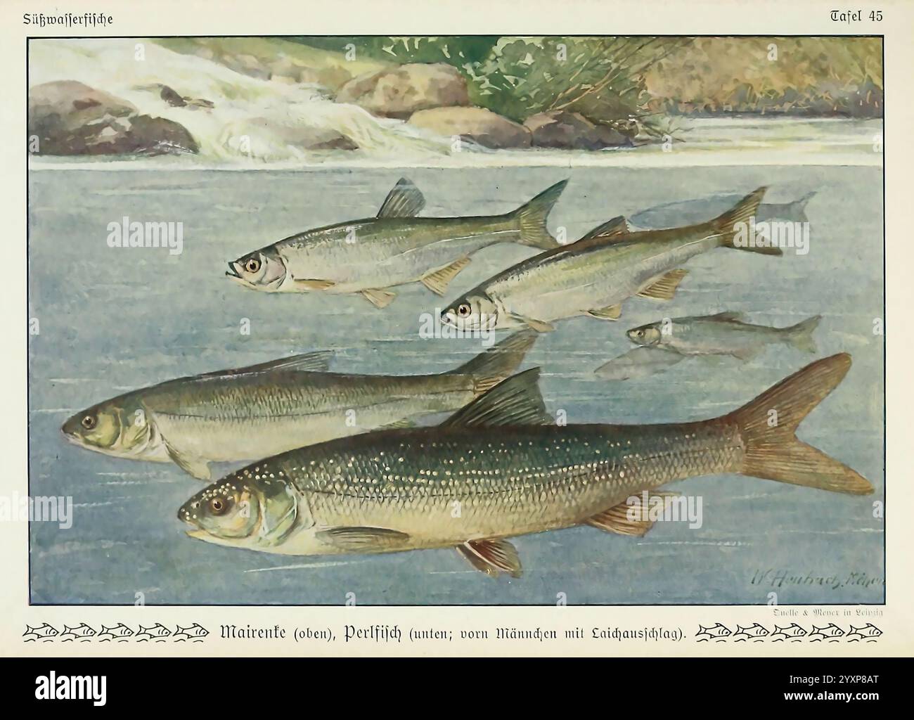 Unsere sui hi-res stock photography and images - Alamy