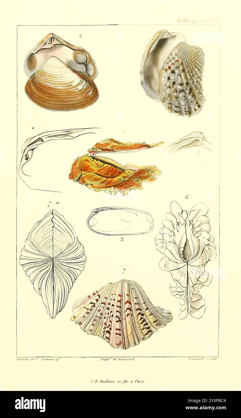 Featuring distinct individuals hi-res stock photography and images - Alamy