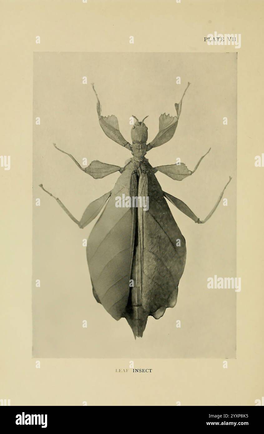 Structural design allow hi-res stock photography and images - Alamy