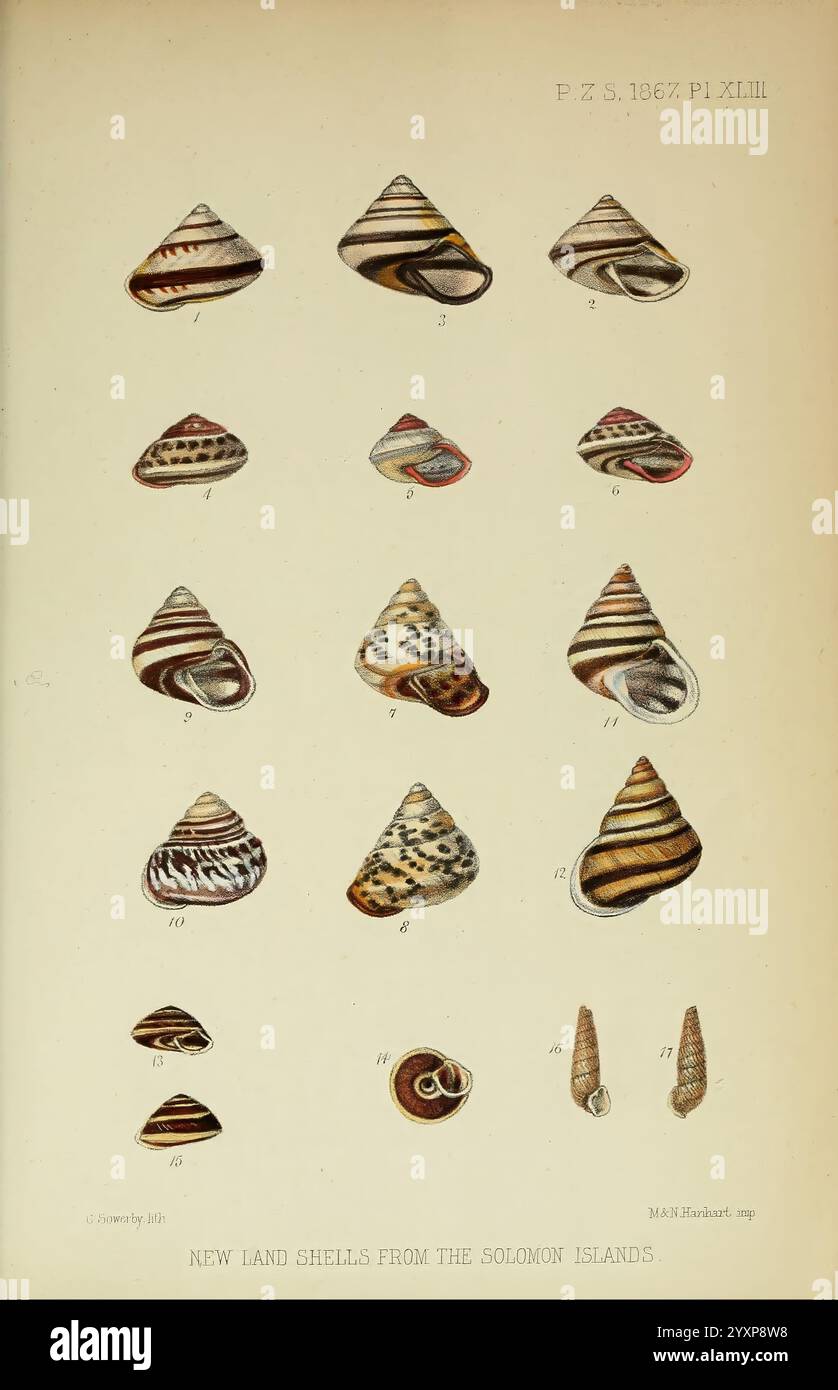 Proceedings of the Zoological Society of London, London, Academic Press ...