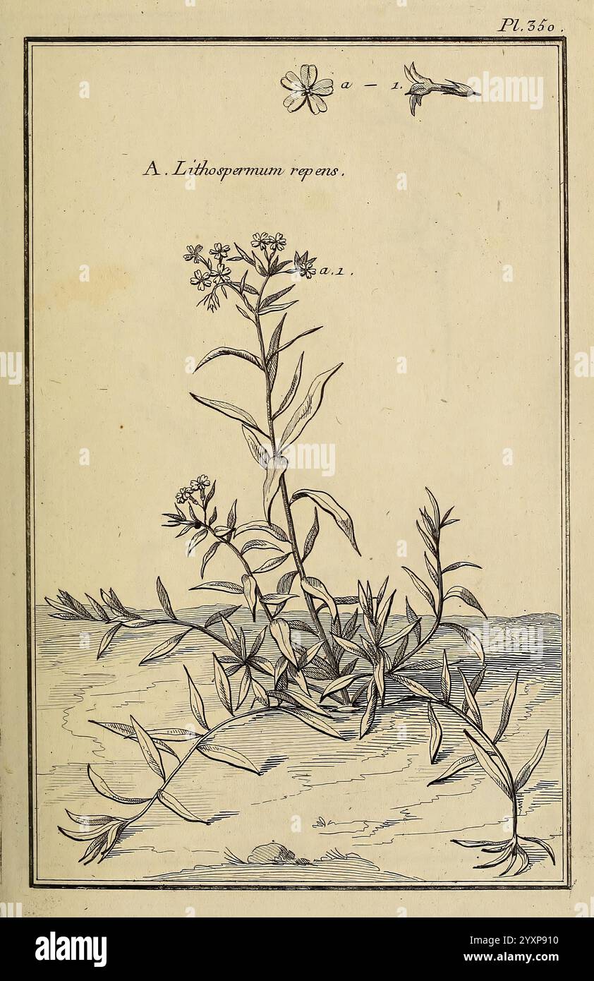 Prominent horizontal layout hi-res stock photography and images - Alamy