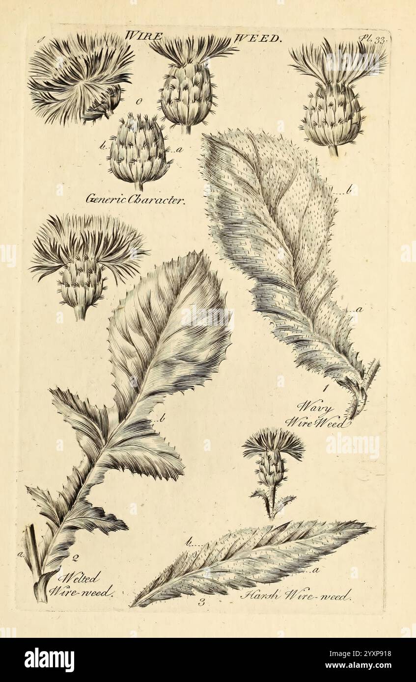 The Vegetable System, London, Printed At The Expence Of The Author And ...