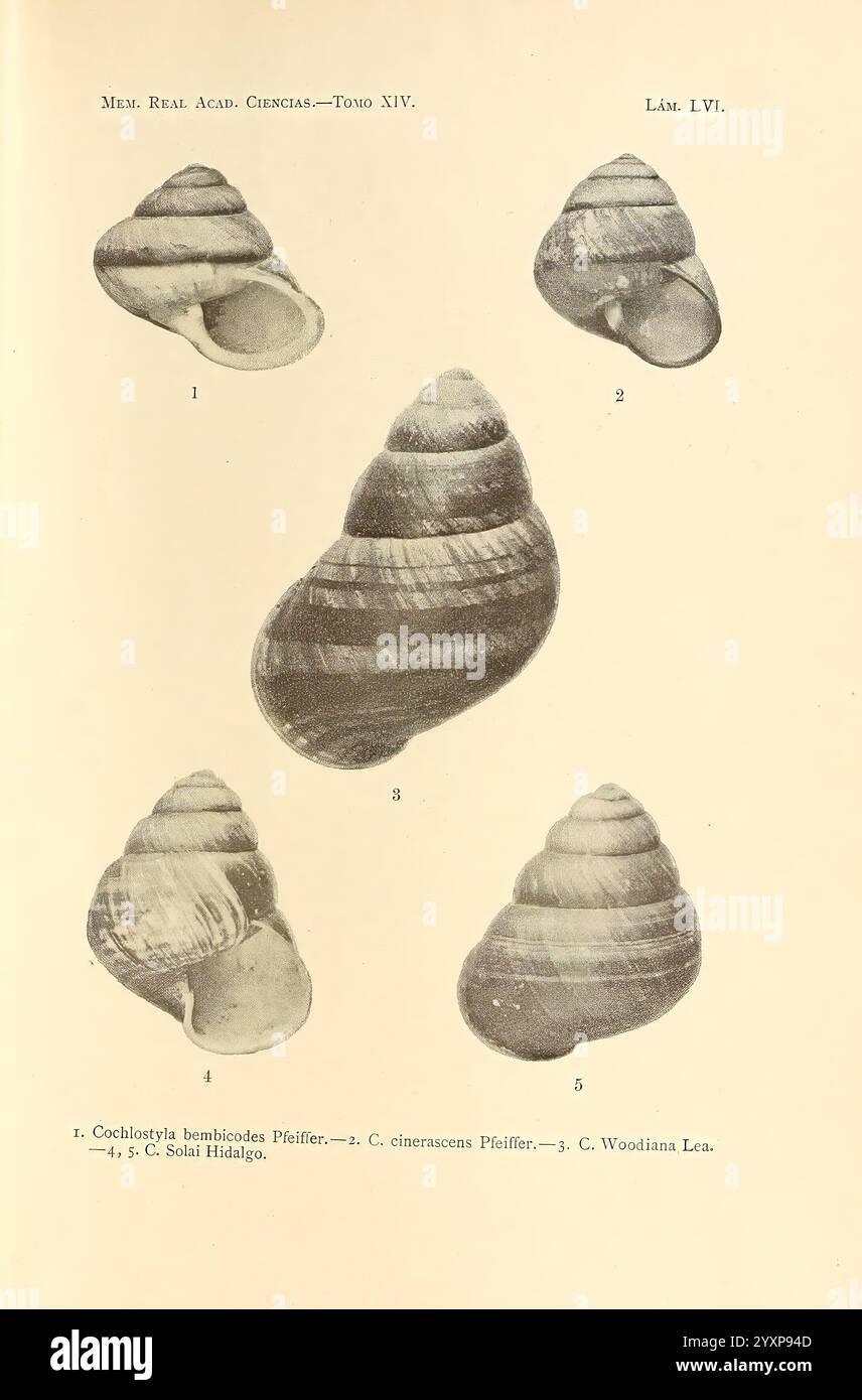 Light in unique ways hi-res stock photography and images - Alamy