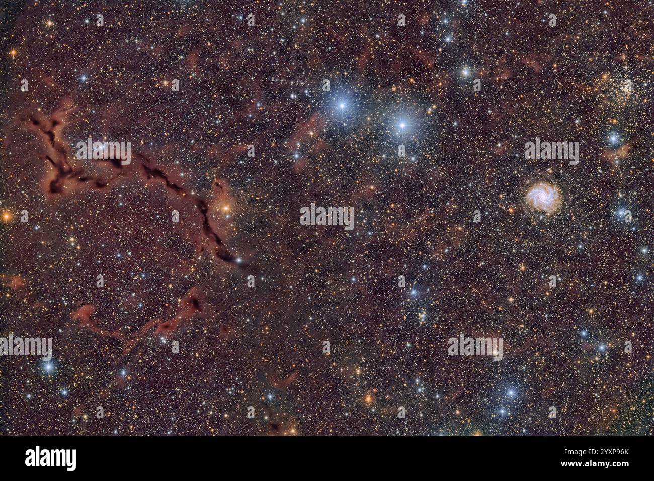 The dark nebula Barnard 150 in Cepheus with galaxy NGC 6946 on the ...