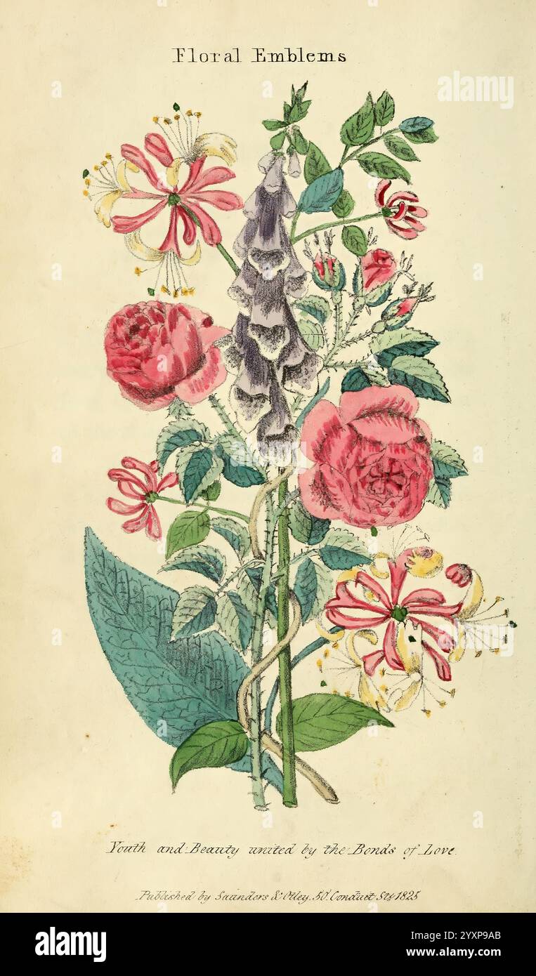 Floral emblems London, Saunders and Otley, 1825 emblems allegorical ...