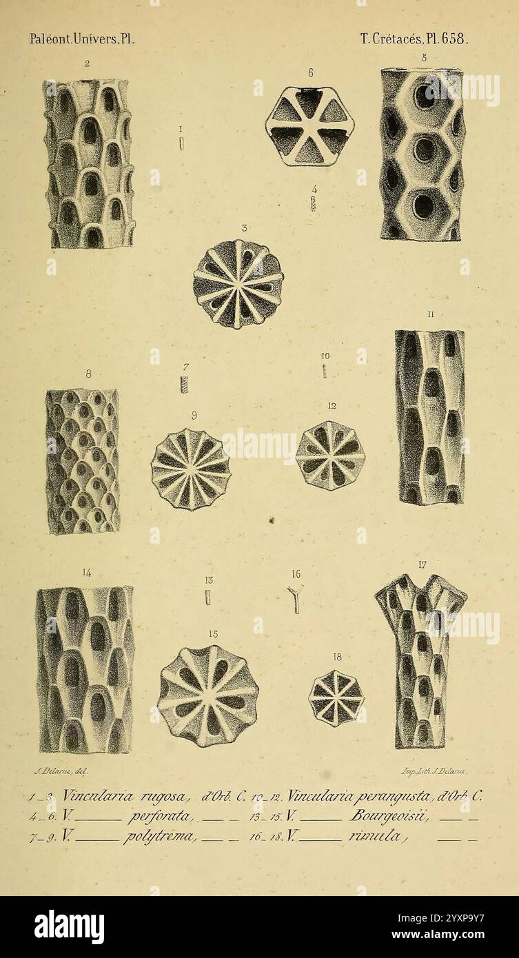 Displaying various mineral structures hi-res stock photography and ...