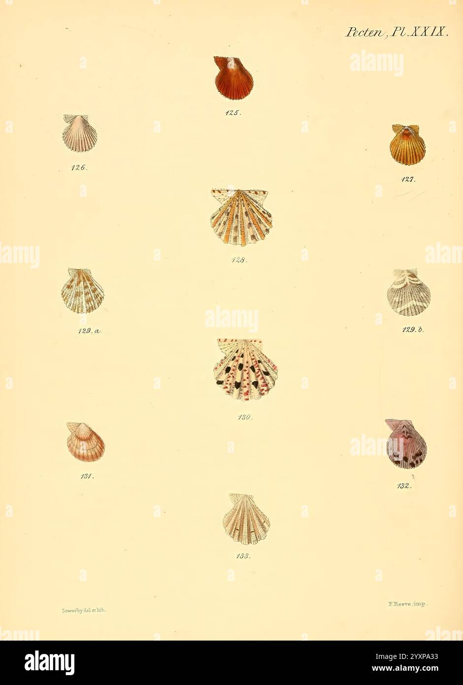 Cataloging format hi-res stock photography and images - Alamy