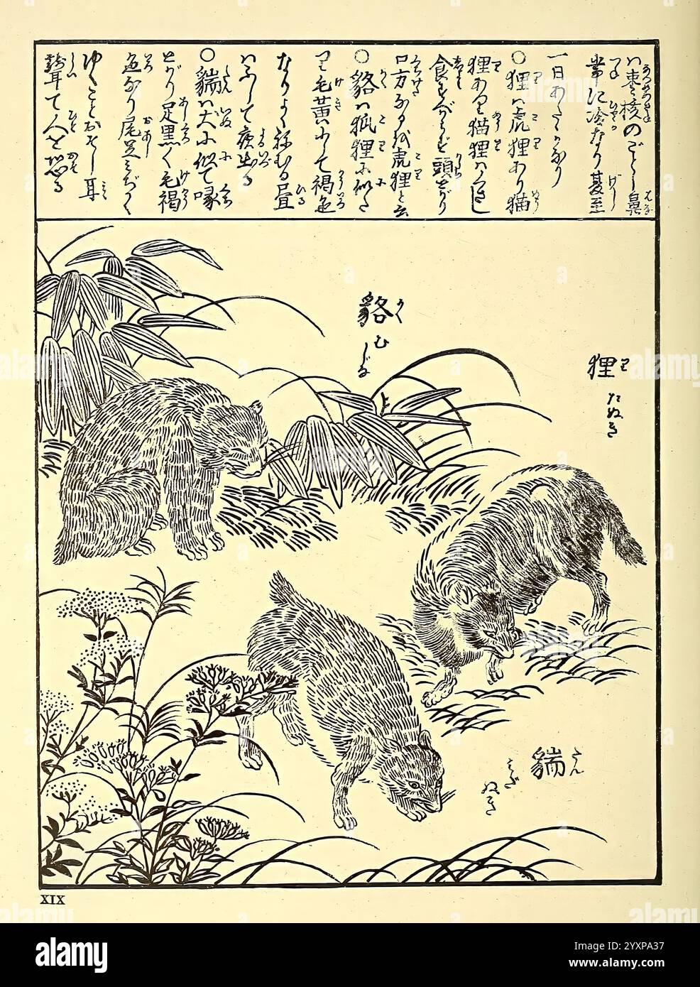 Script conveys hi-res stock photography and images - Alamy