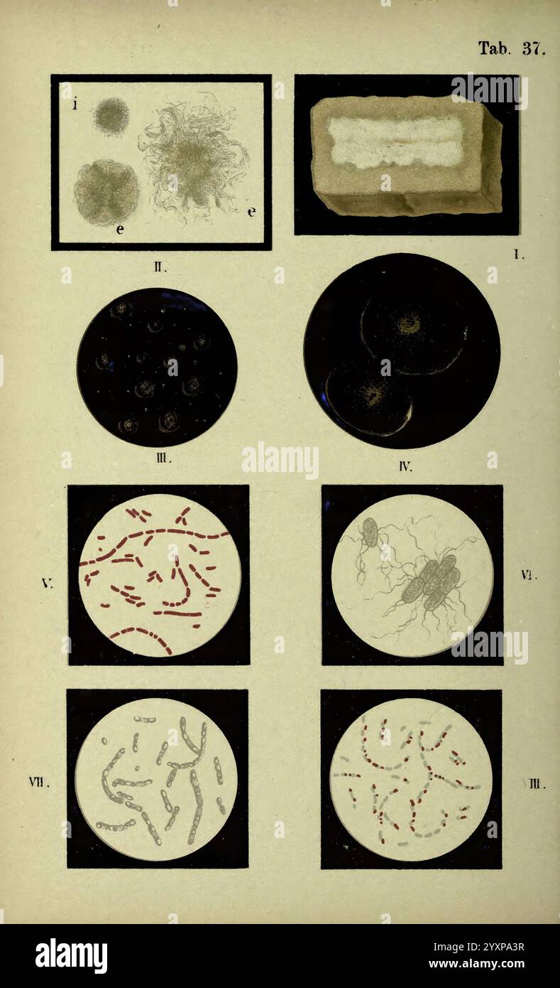 Two rectangular forms hi-res stock photography and images - Alamy