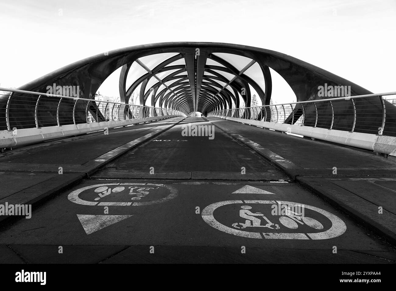 Peace Bridge by Santiago Calatrava over the Bow River to Downtown ...