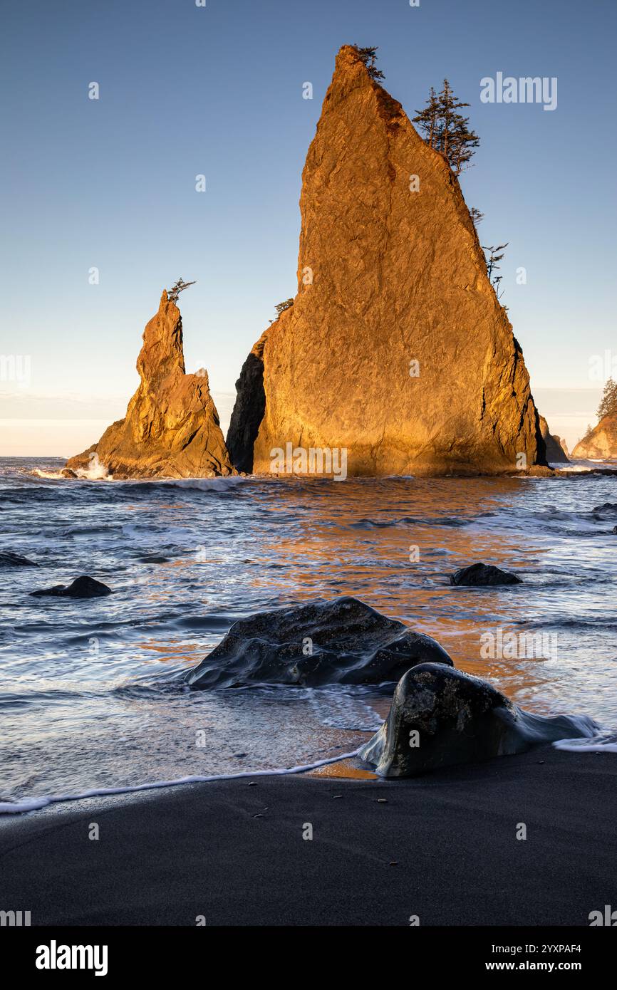 WA25939-00...WASHINGTON - Sea stacks along the Pacific Coast on Rialto ...