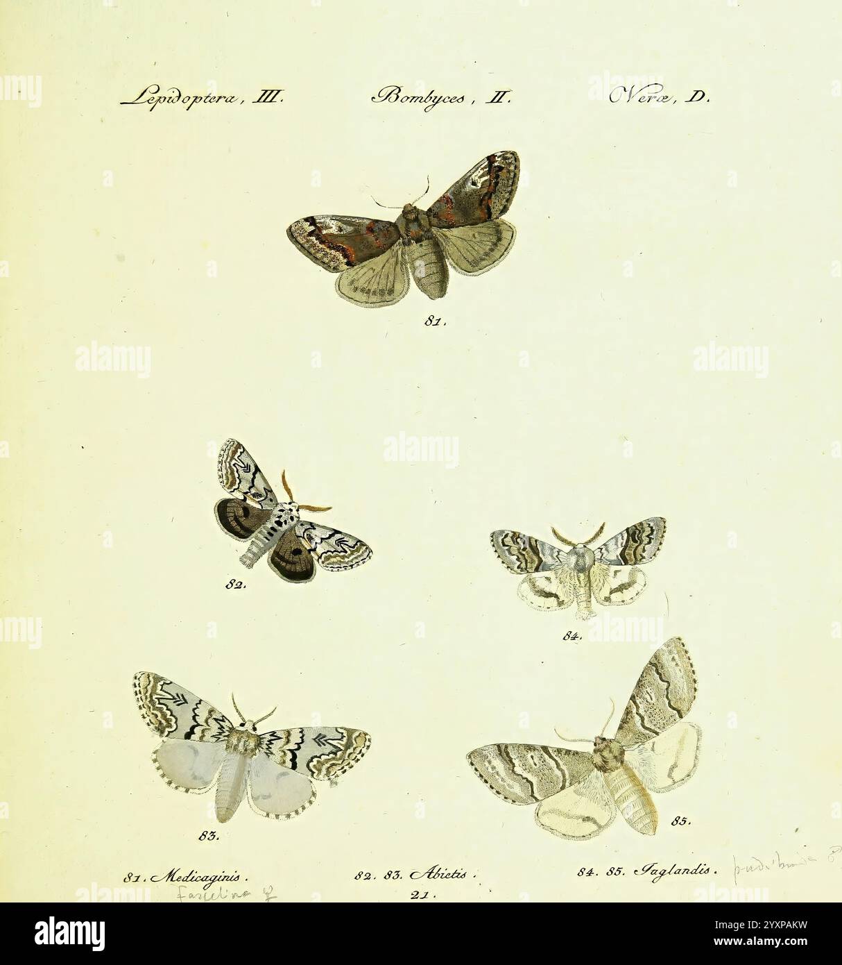 Informational labels hi-res stock photography and images - Alamy