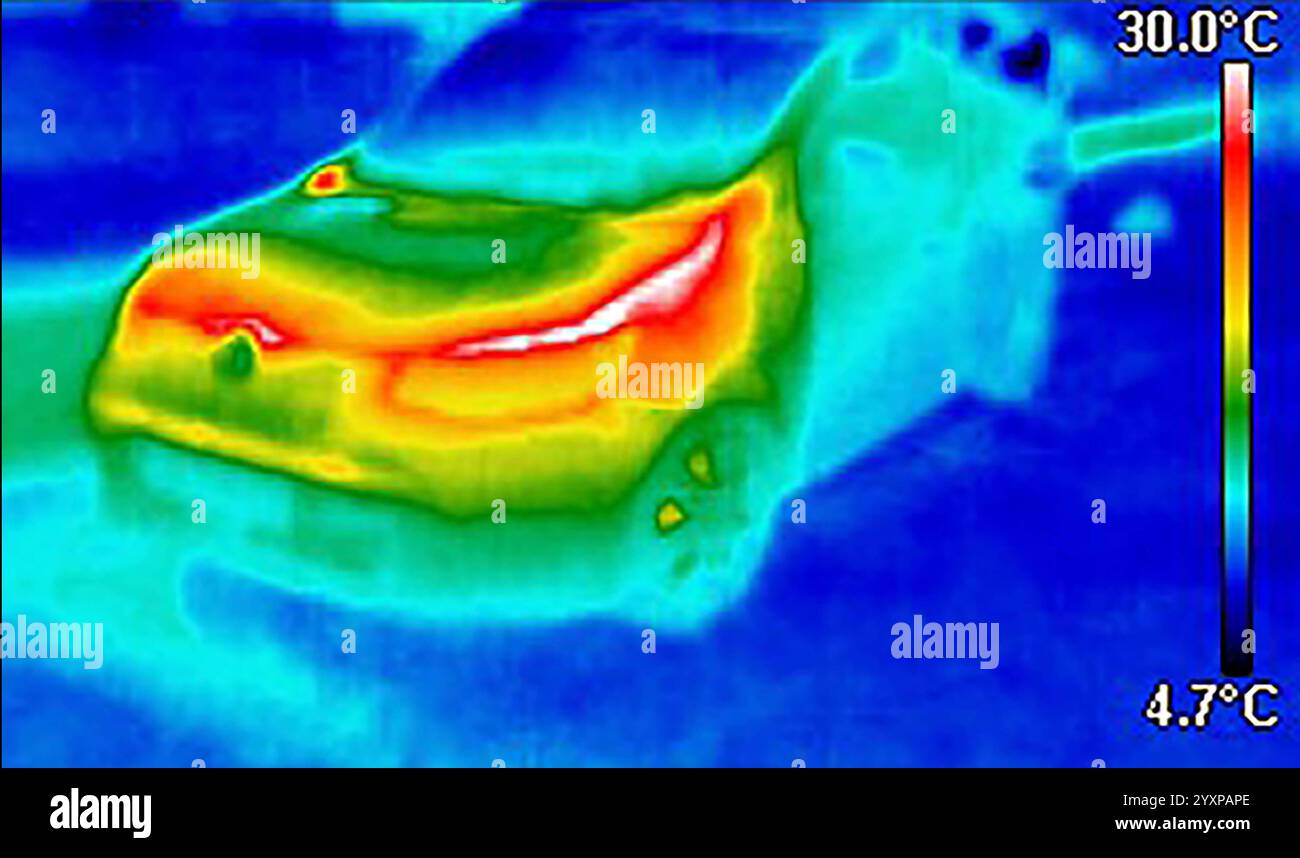 Thermographie hi-res stock photography and images - Alamy