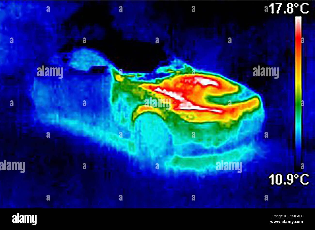 Thermographie hi-res stock photography and images - Alamy