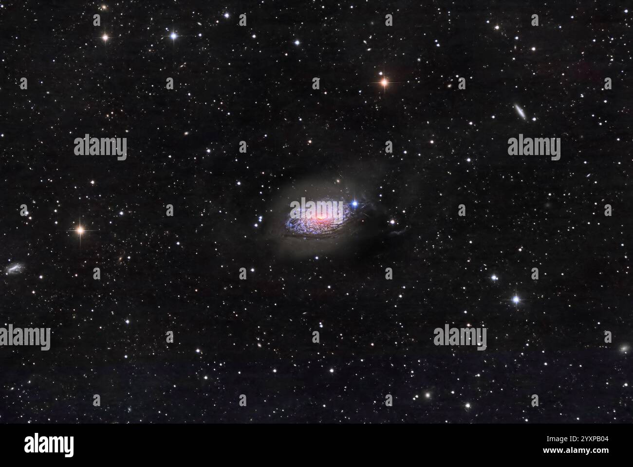 Messier 63, the Sunflower Galaxy, in the constellation of Canes Venatici Stock Photo - Alamy