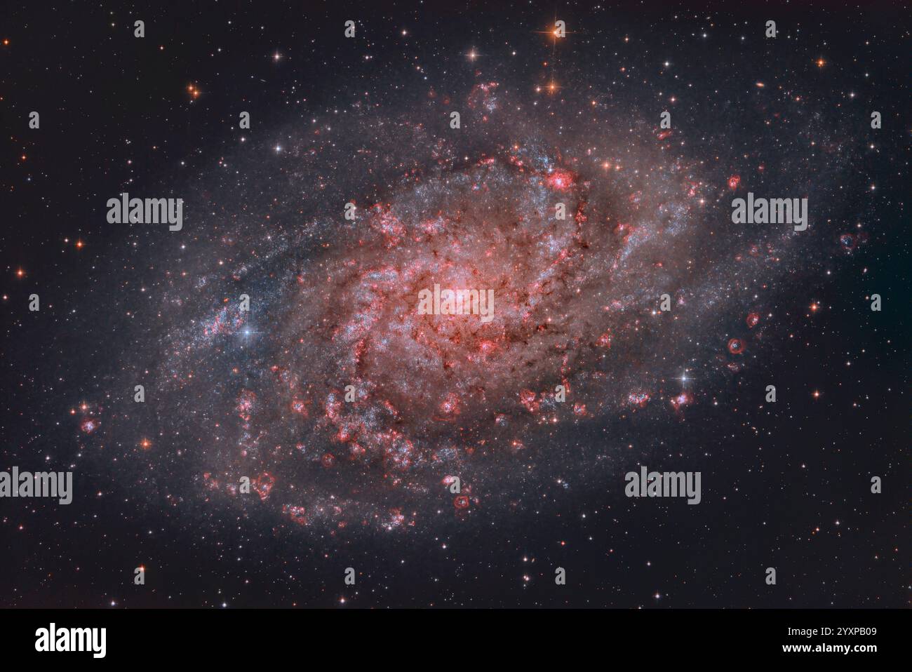 The Triangulum Galaxy, Messier 33 Stock Photo - Alamy