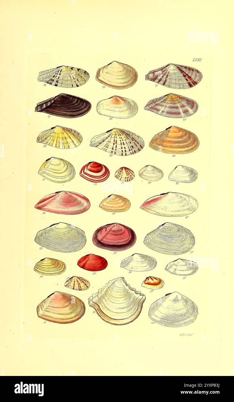 Within ocean ecosystems hi-res stock photography and images - Alamy