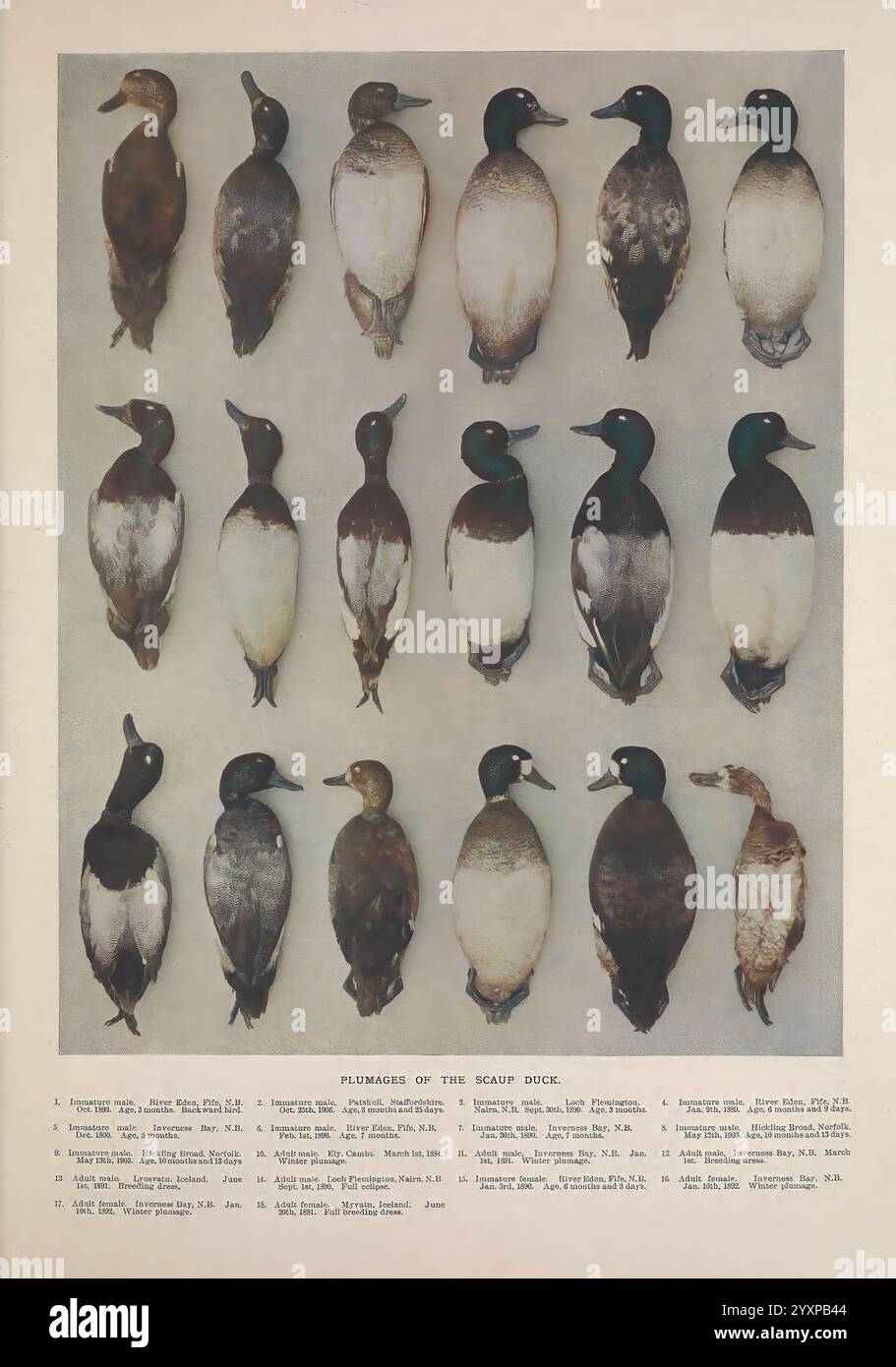 Informative text highlighting hi-res stock photography and images - Alamy