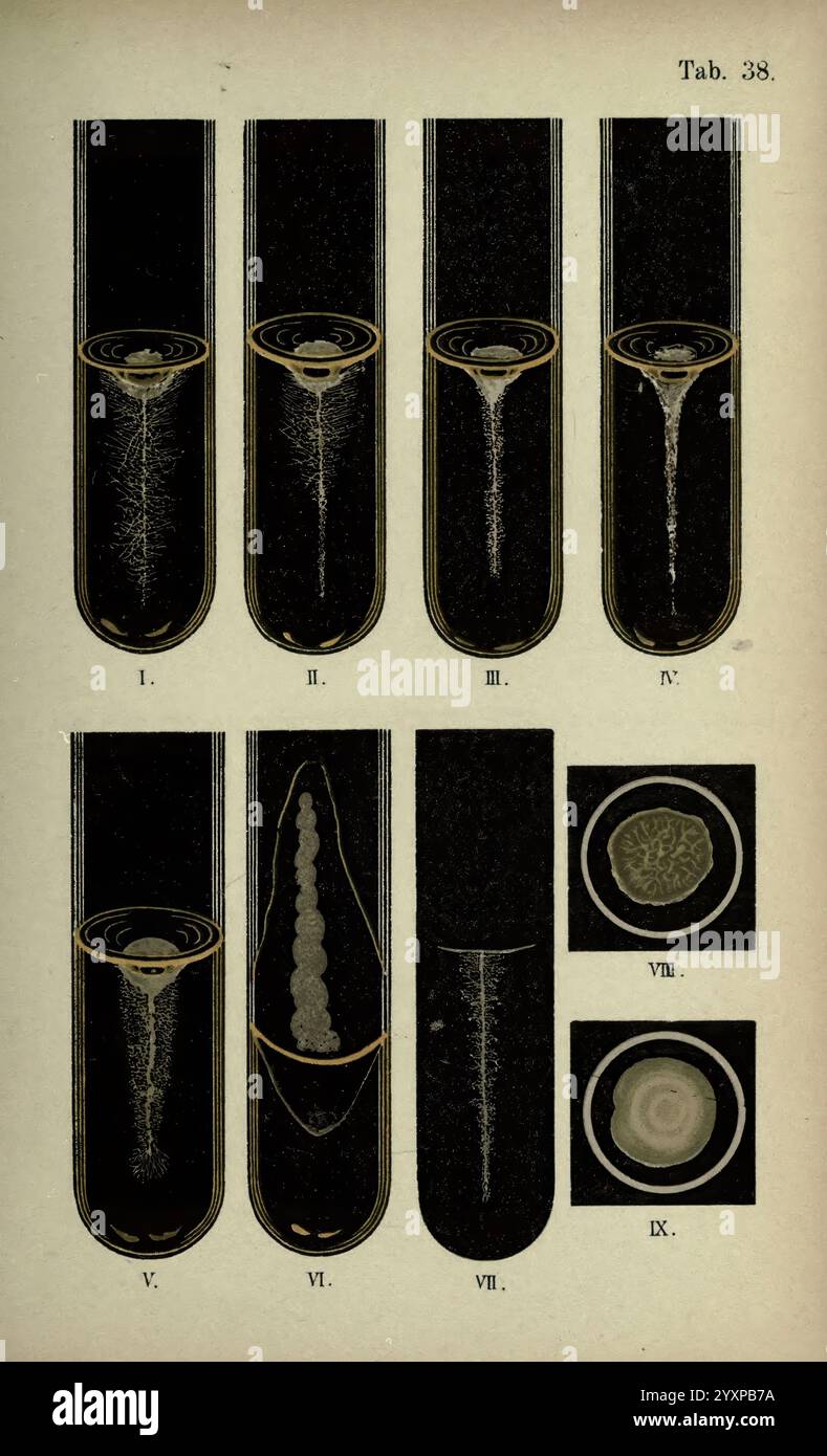 First six panels hi-res stock photography and images - Alamy