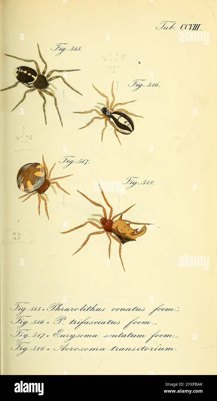 Numbered labels adjacent hi-res stock photography and images - Alamy