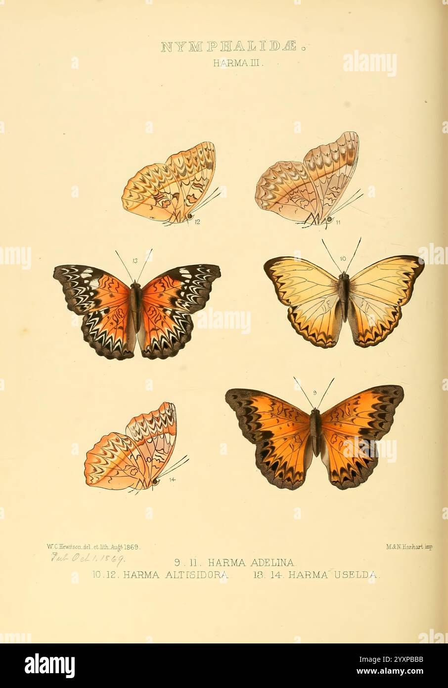 In depth comparison hi-res stock photography and images - Alamy
