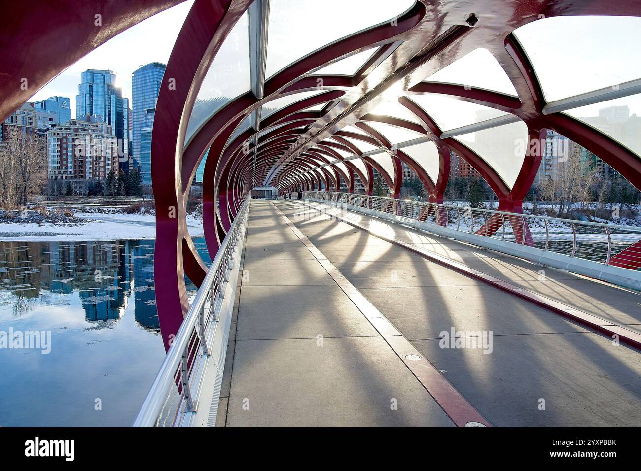 Peace Bridge by Santiago Calatrava over the Bow River to Downtown ...